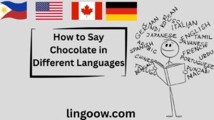 How to Say Light in Different Languages